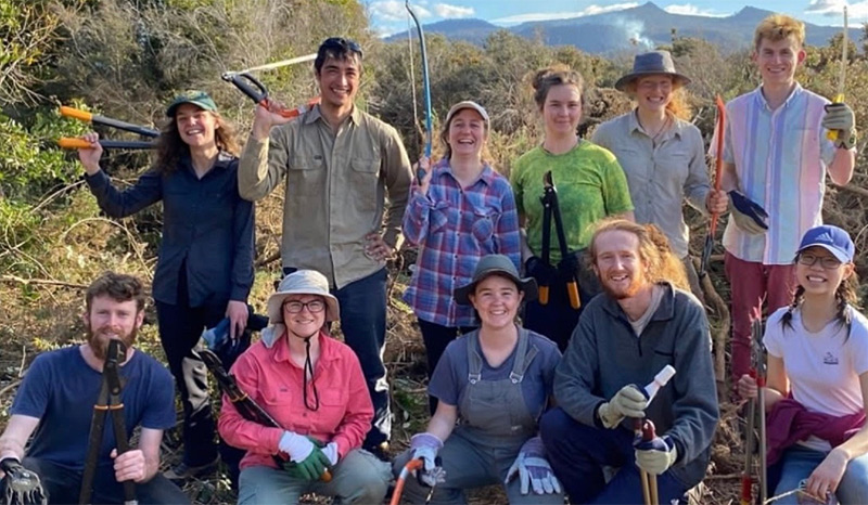 National Tree Day: Annual birthday celebration for trees – Centre for ...